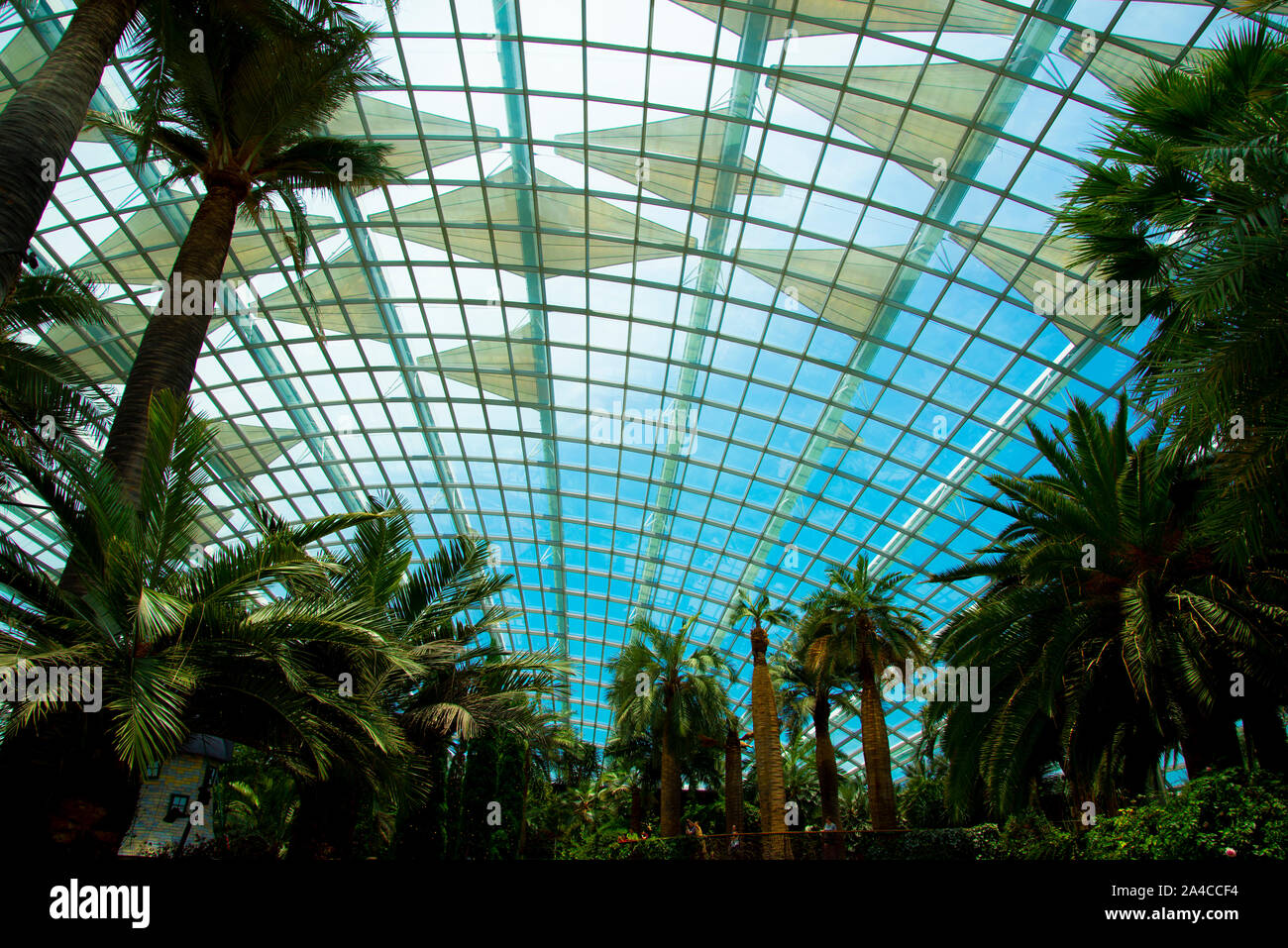 Interior flower dome conservatory gardens hi-res stock photography and ...