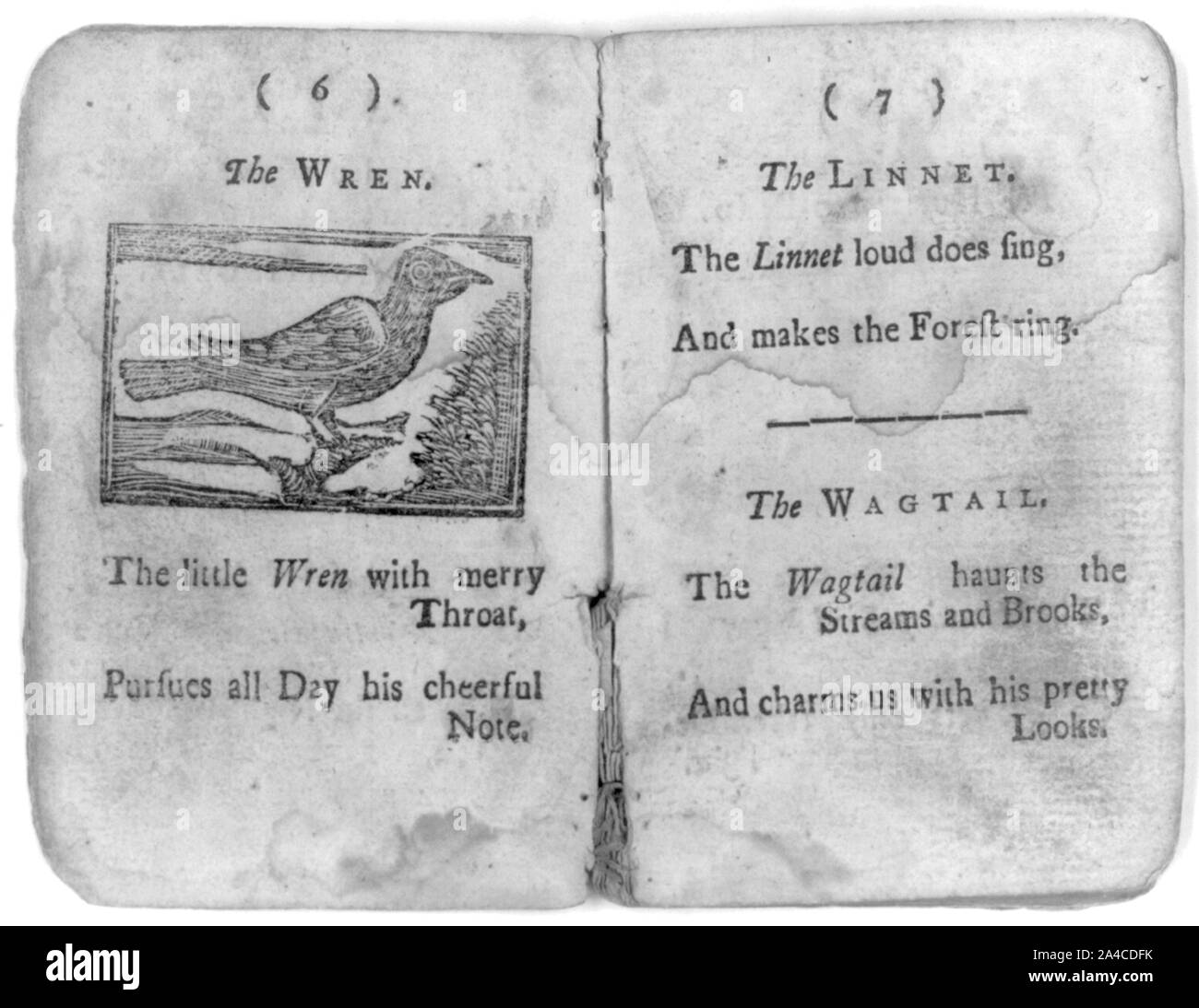 The Wren ... the Linnet ... the Wagtail Stock Photo - Alamy