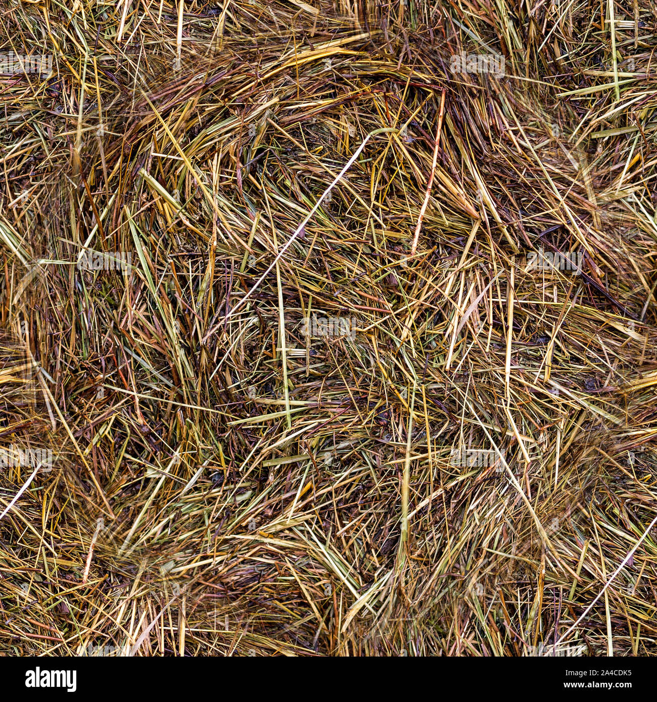 seamless wet hay harvest texture at rainy day. background, agricultural ...