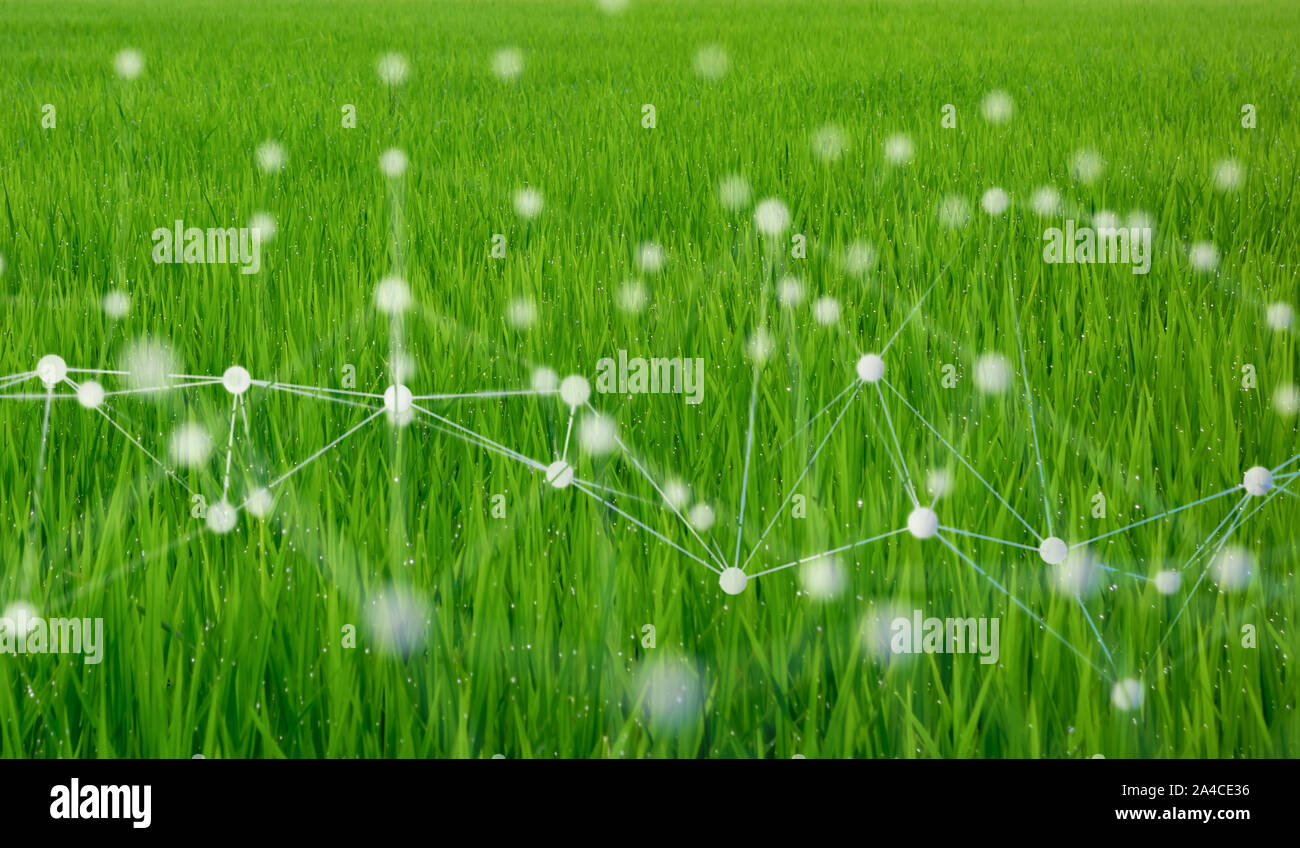 smart agriculture concept with machine, deep learning, neural network ... smart agriculture concept with machine, deep learning, neural network ...