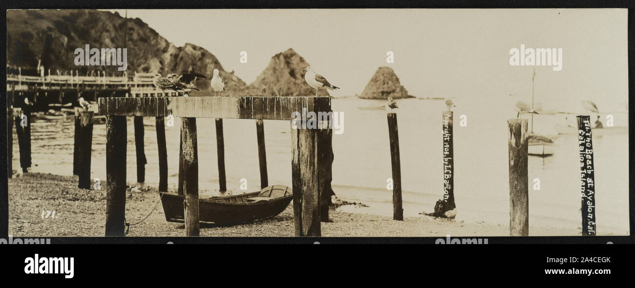 Lester Beach High Resolution Stock Photography and Images - Alamy