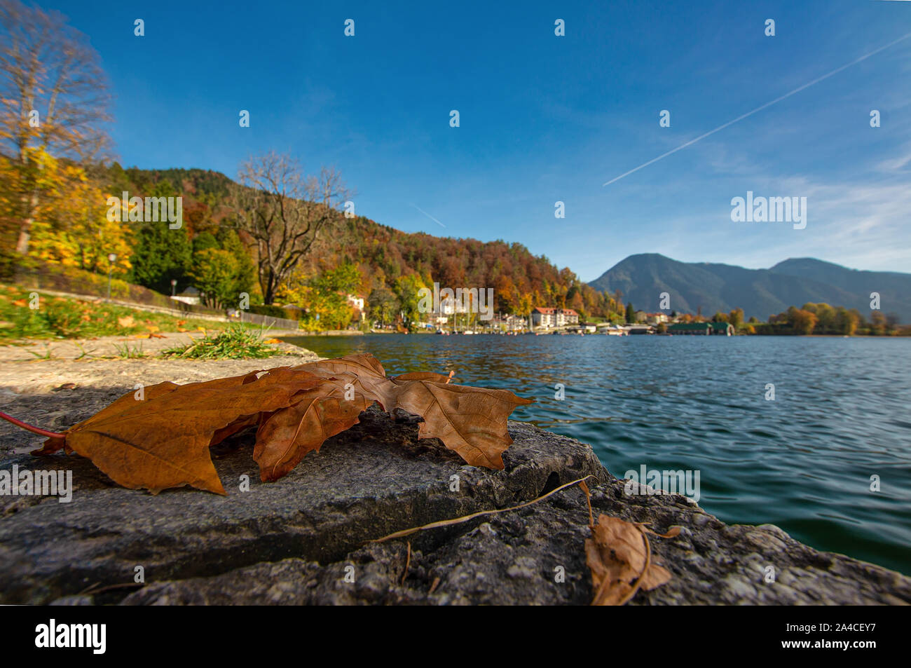 Maple lake park hi-res stock photography and images - Alamy