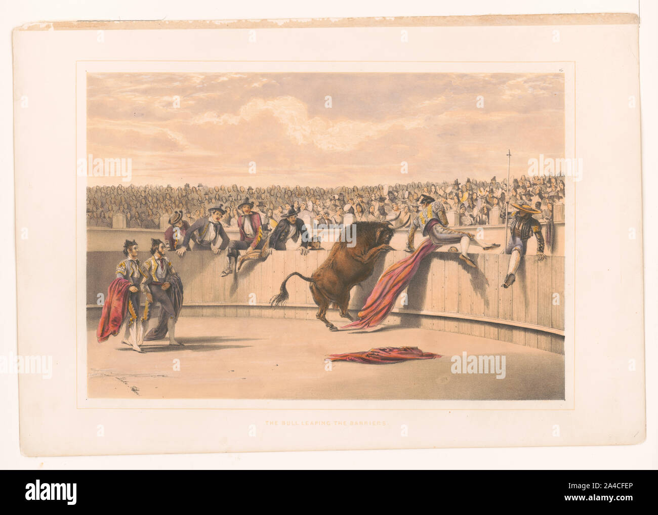 The bull leaping the barriers Stock Photo - Alamy