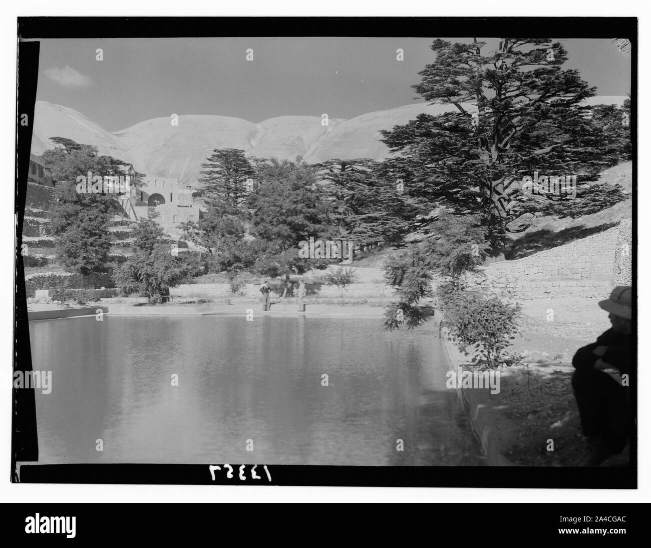 Grove pool Cut Out Stock Images & Pictures - Alamy