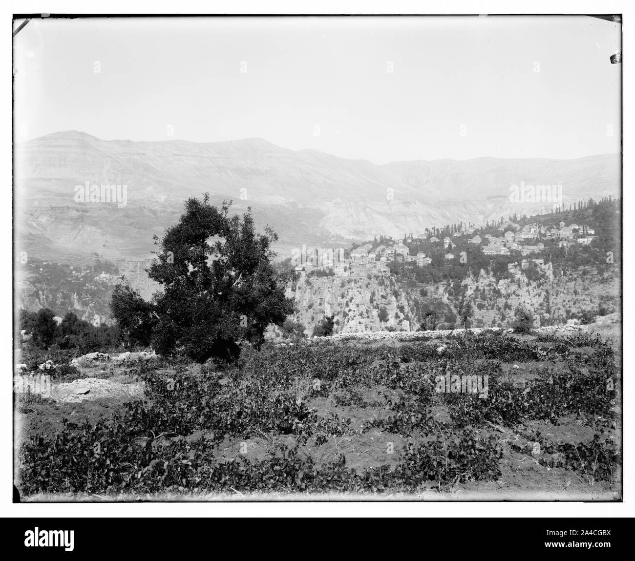 Trees distant Cut Out Stock Images & Pictures - Alamy