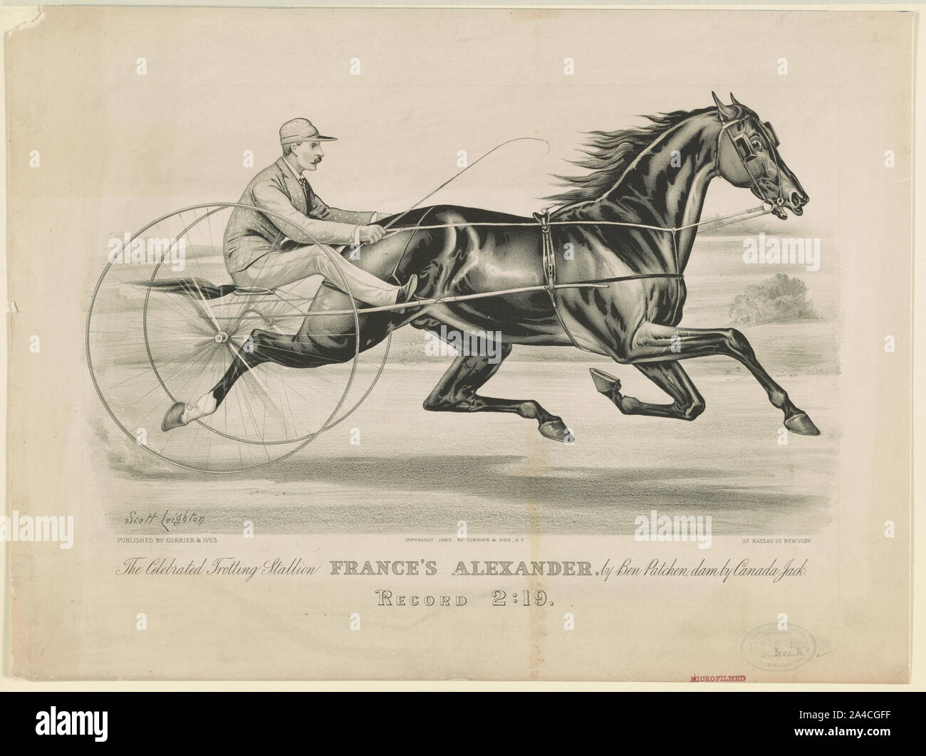 The celebrated trotting Stallion France's Alexander by Ben Patchen, dam ...