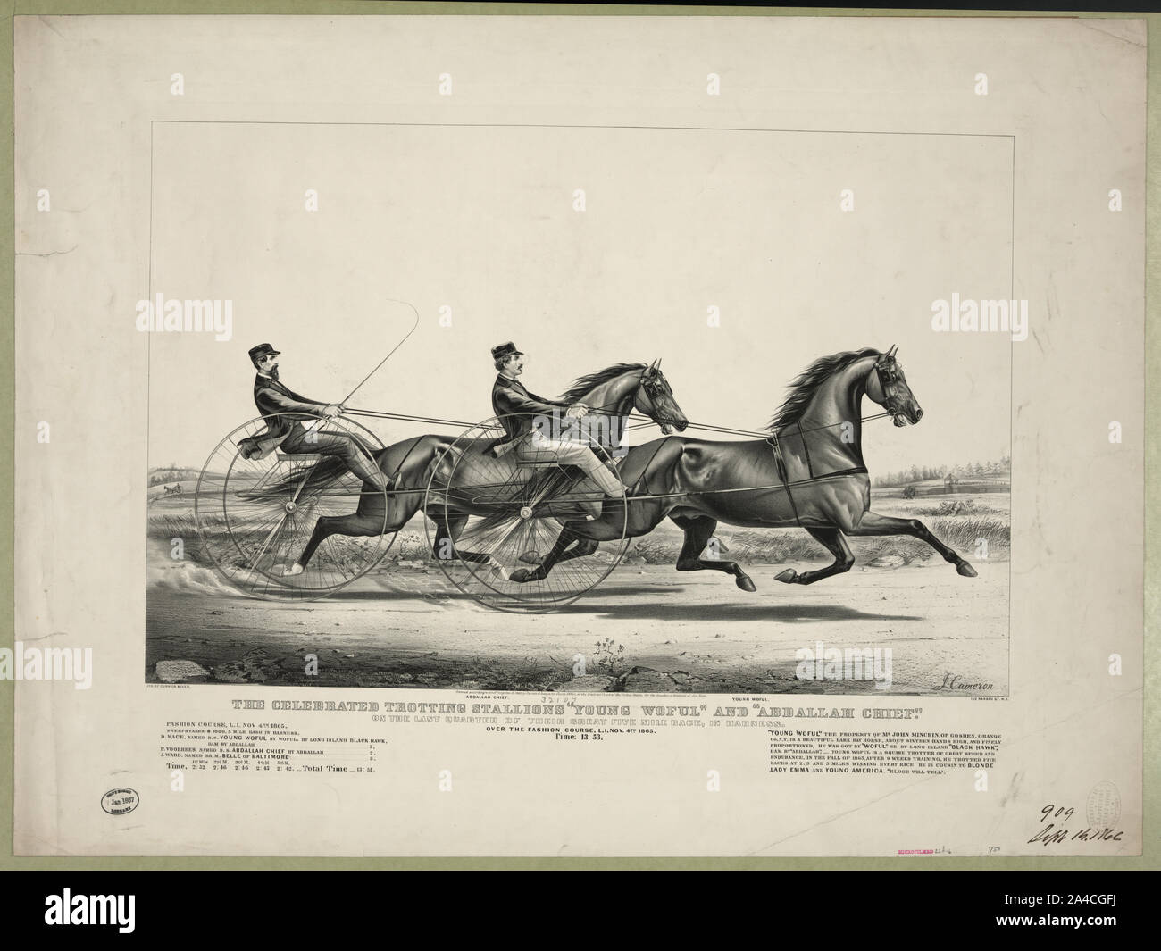 The celebrated trotting Stallions Young Woful and Abdallah Chief: On ...