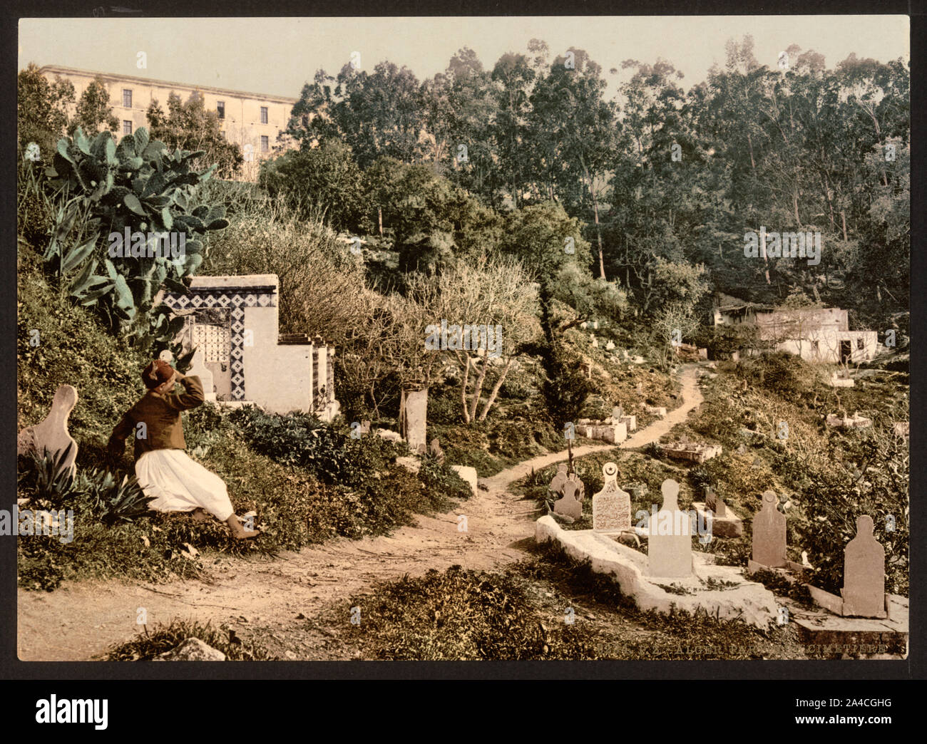 Algeria cemetery hi-res stock photography and images - Alamy