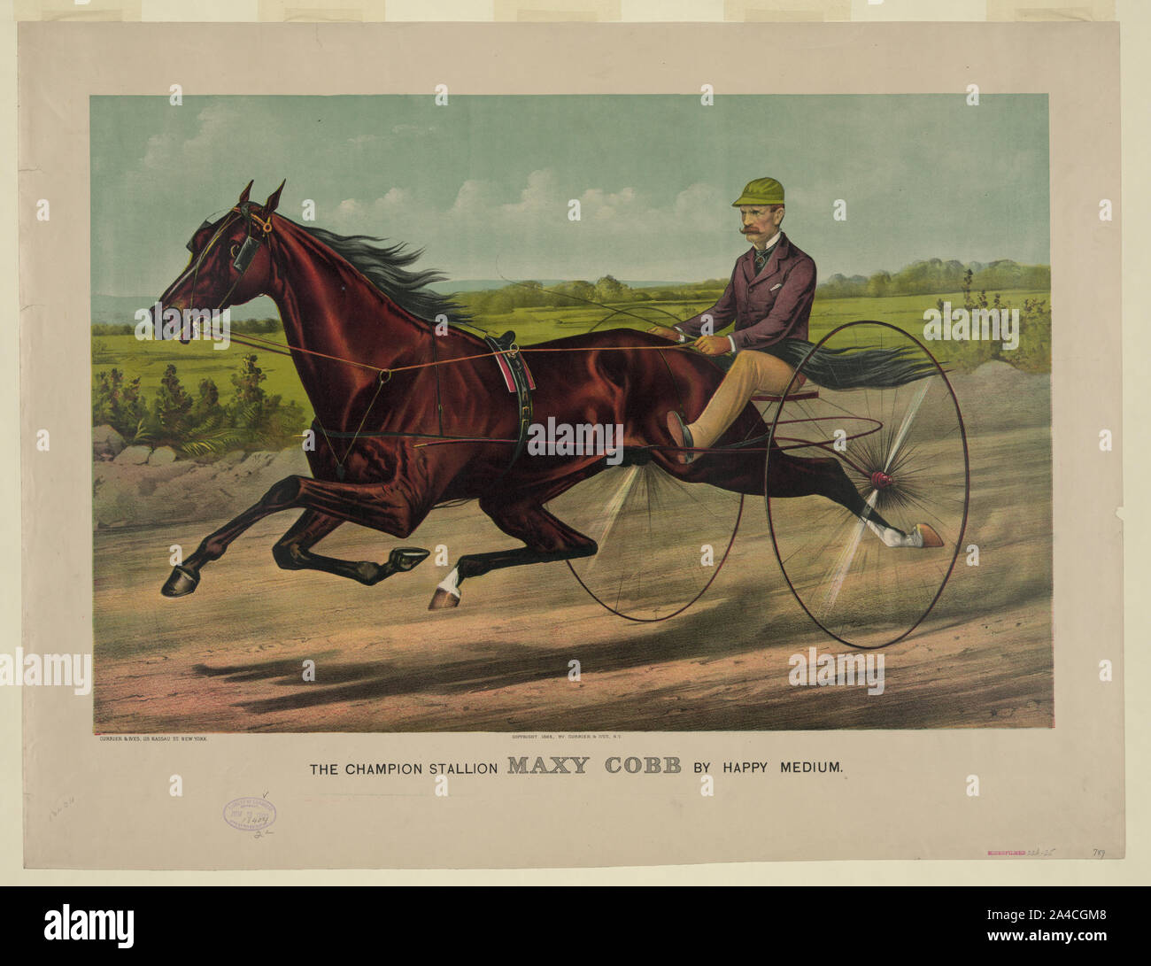 Champion stallion hi-res stock photography and images - Alamy