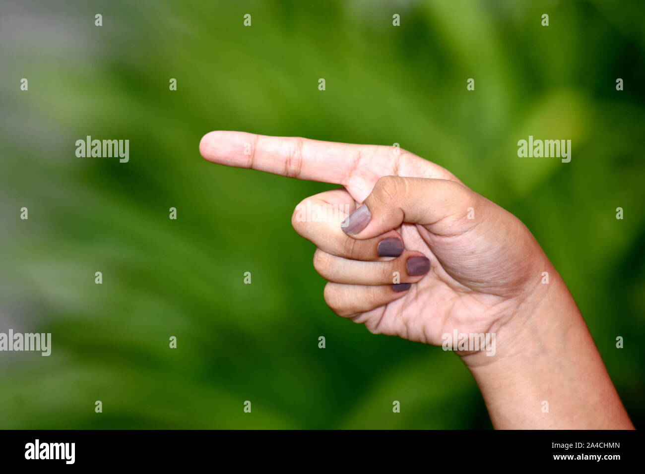 Female Hand Pointing Finger Stock Photo - Alamy
