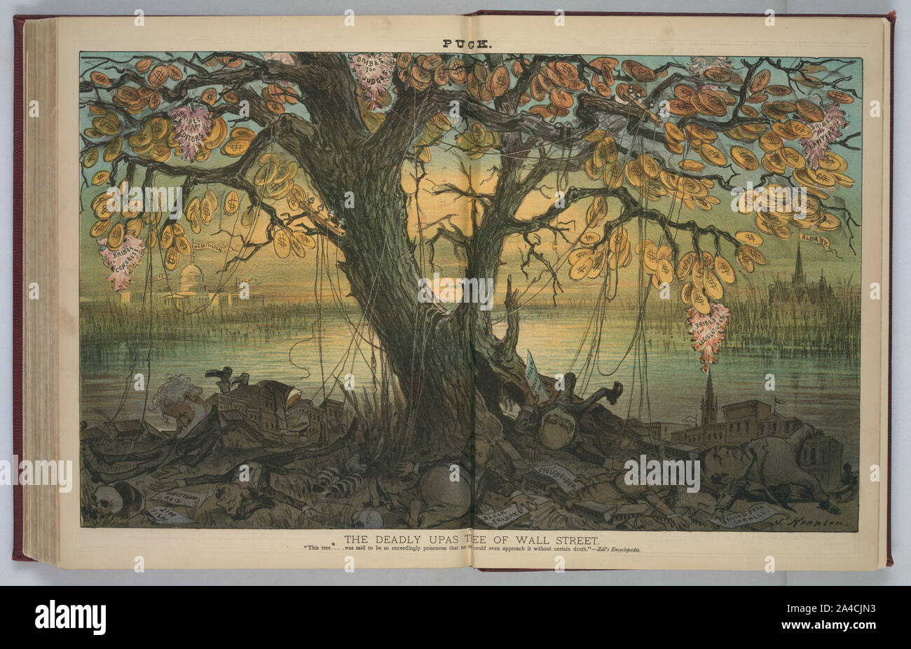 The deadly upas tree of Wall Street / J. Keppler Stock Photo - Alamy