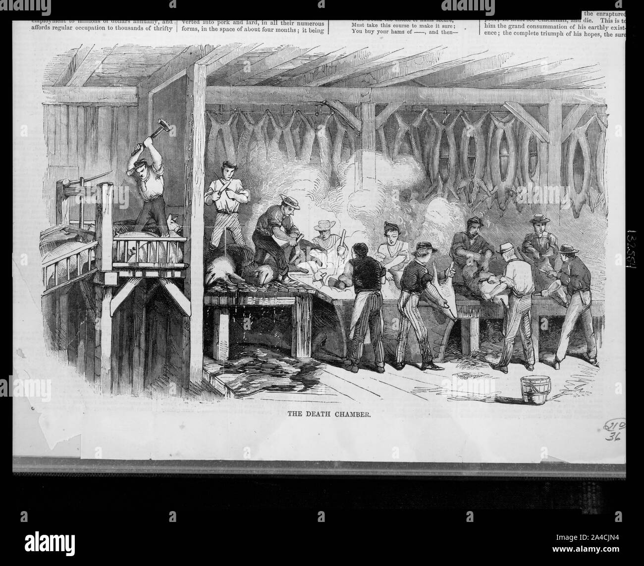 The death chamber Stock Photo - Alamy