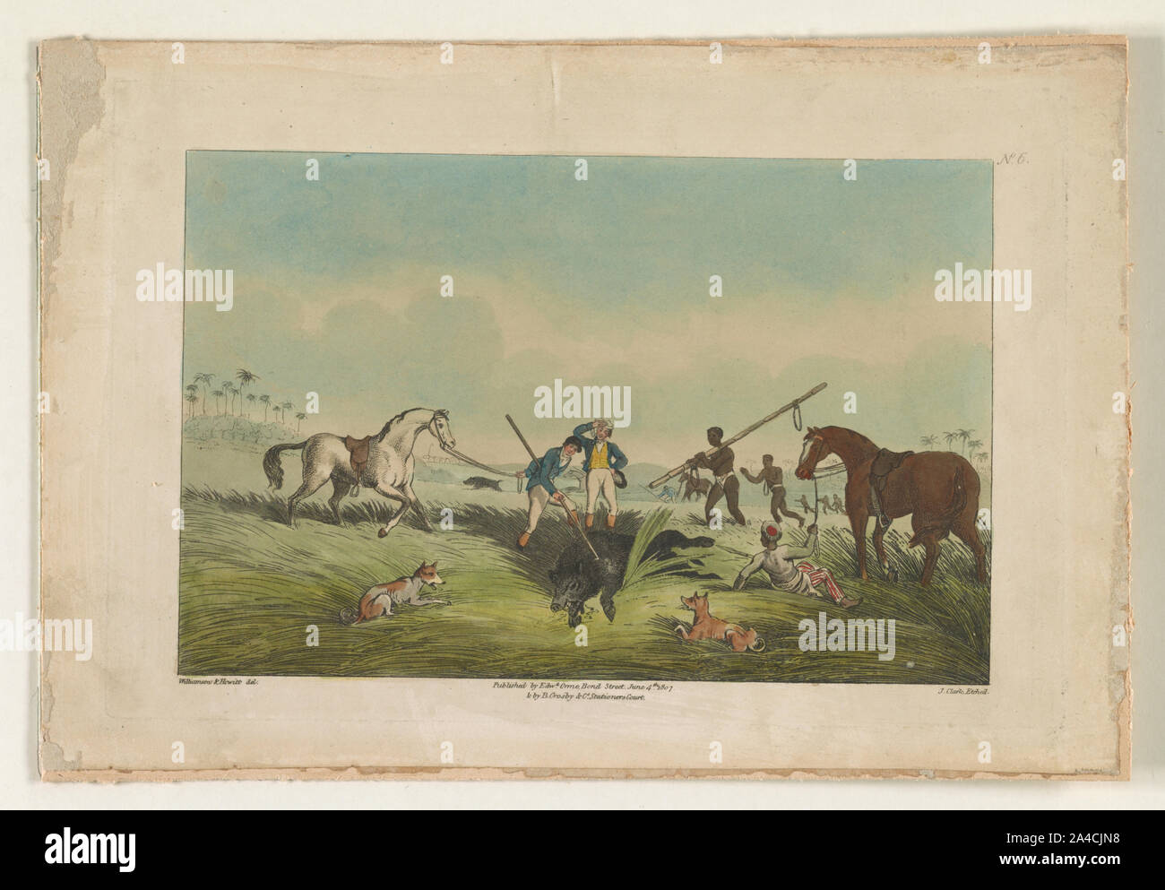 The dead hog] / Williamson & Howitt Stock Photo - Alamy