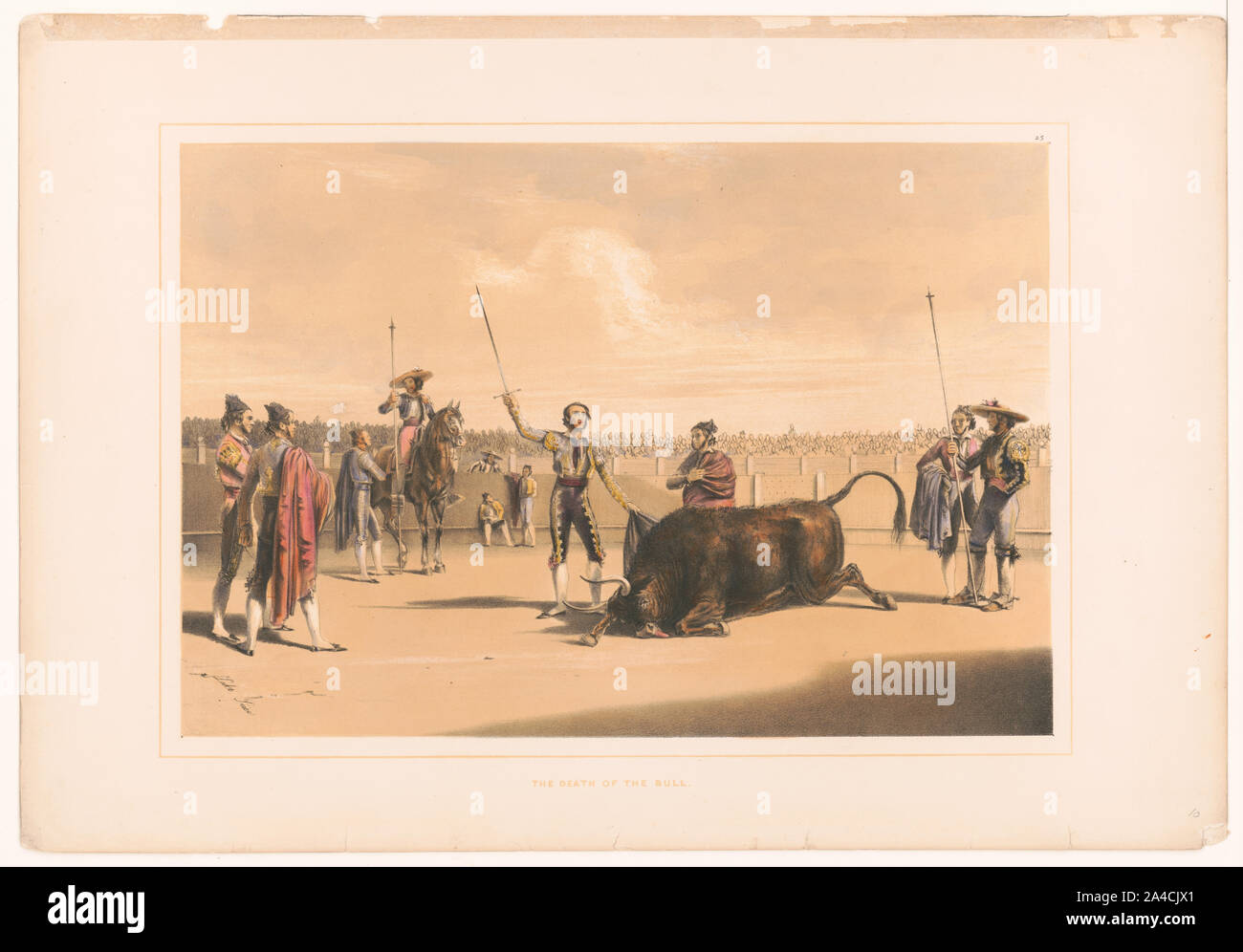 The death of the bull Stock Photo - Alamy