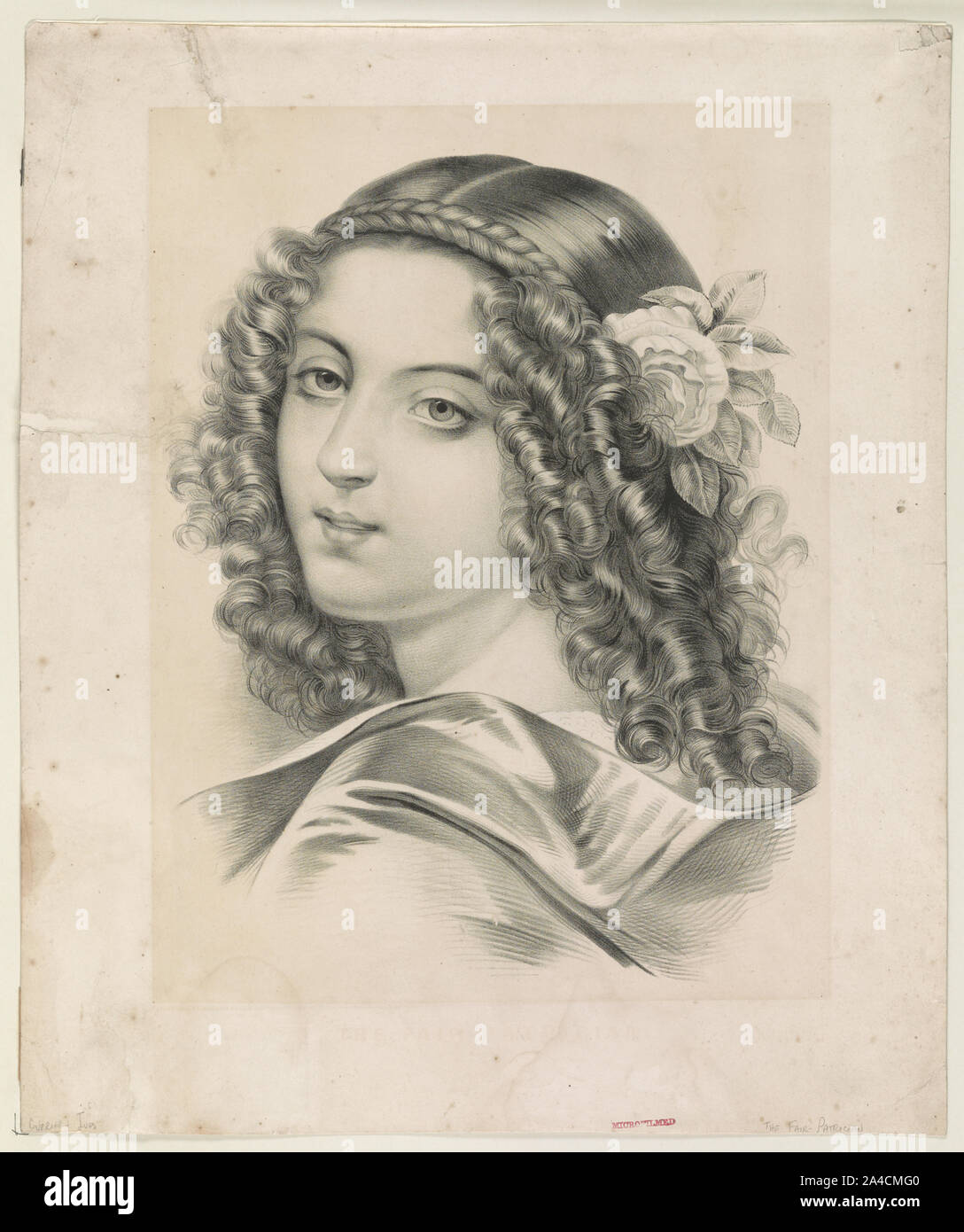 The fair patrician Stock Photo - Alamy