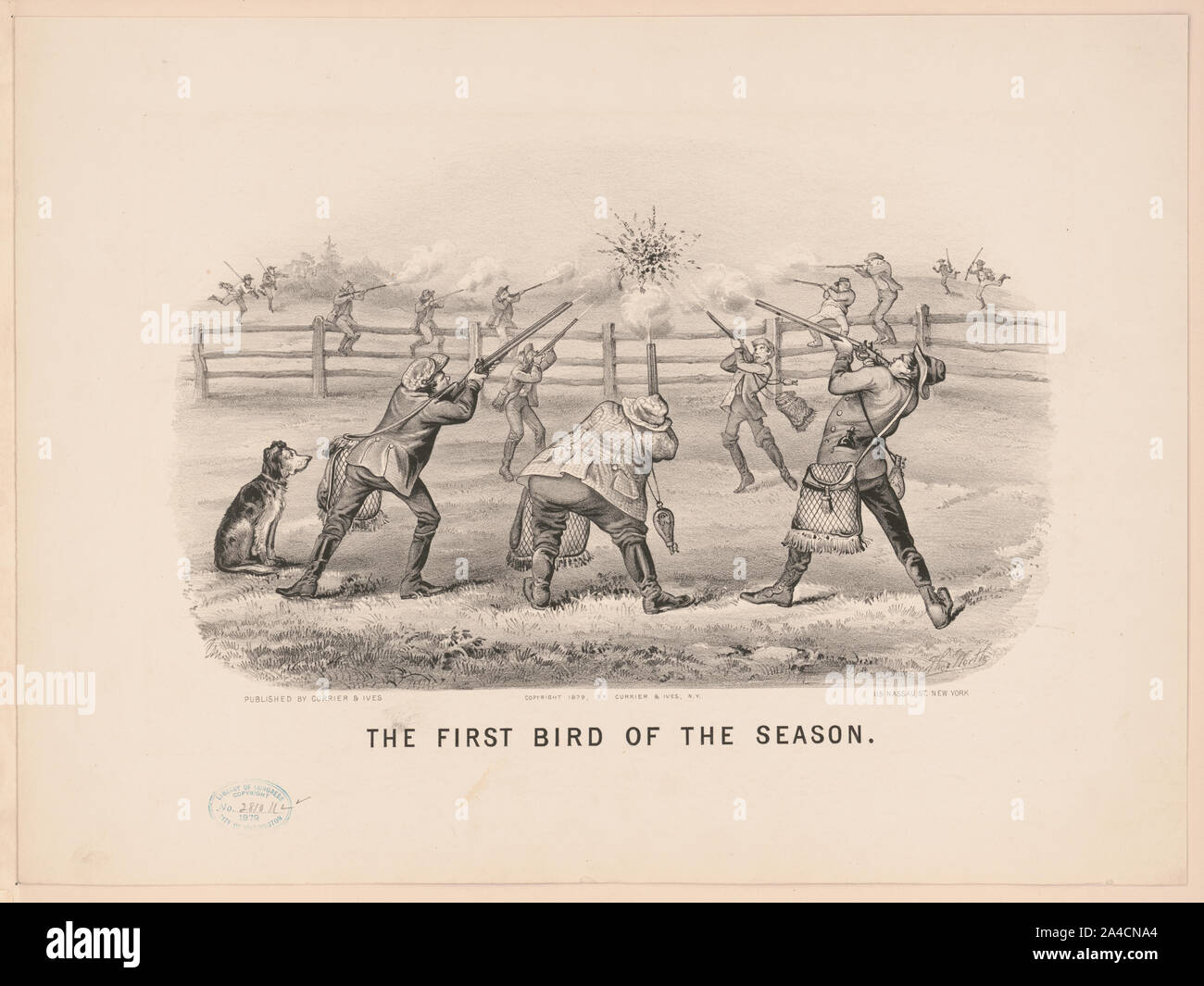 The first bird of the season Stock Photo - Alamy