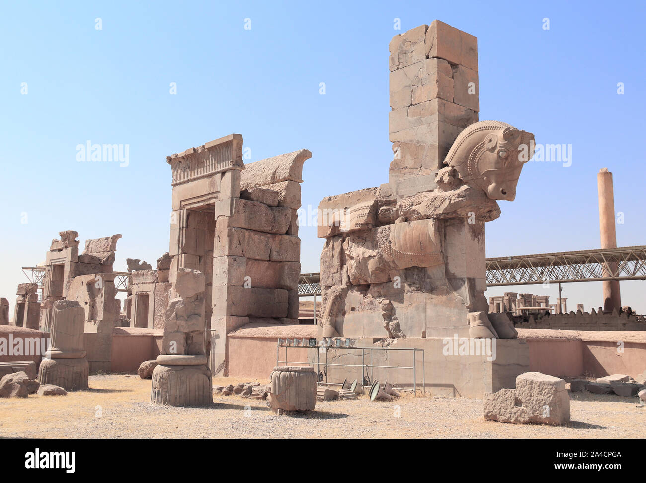 Ancient column with stone statue of bull in Persepolis - capital of the ...