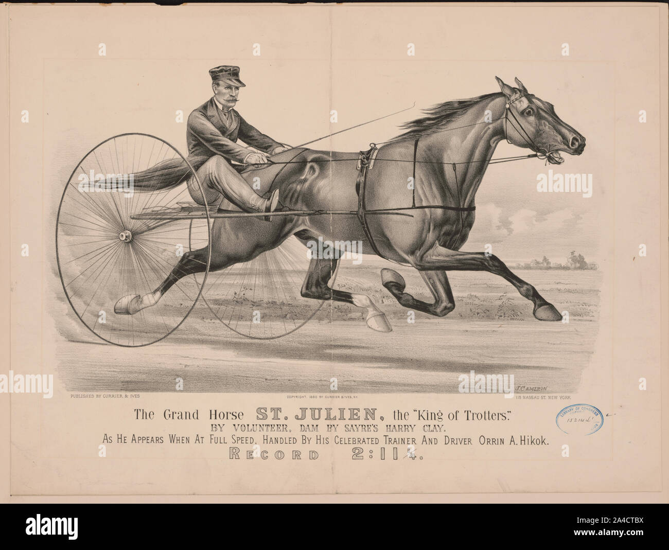 Harry trainer hi-res stock photography and images - Alamy