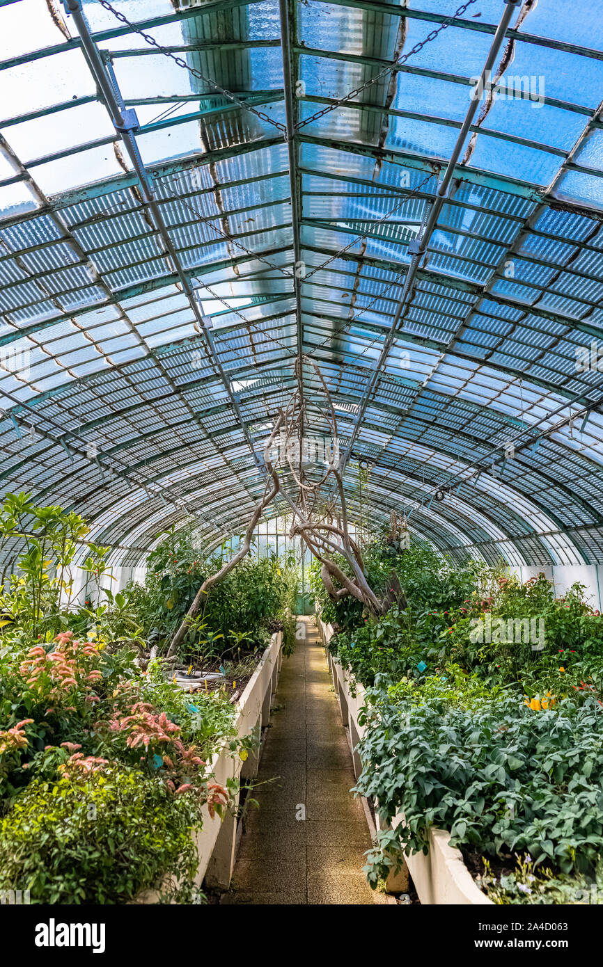 Paris, the Auteuil greenhouses, beautiful public garden in spring Stock ...