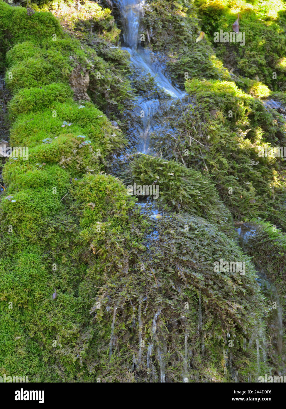 Small waterfall (Lisinski raj), mountain Beljanica, Serbia, Europe ...