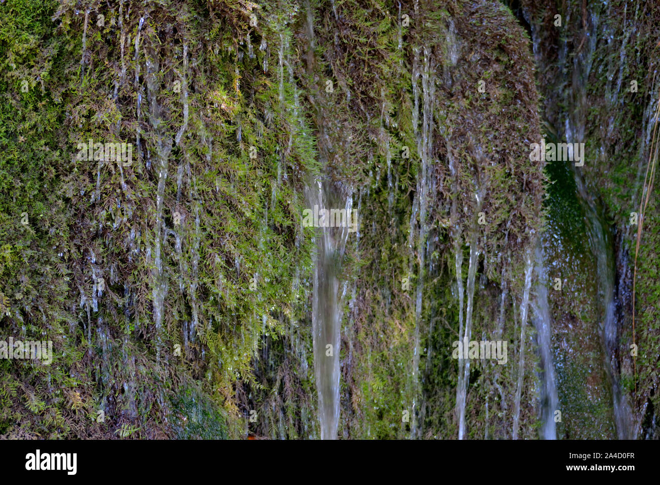 Vodopad waterfall serbia hi-res stock photography and images - Alamy