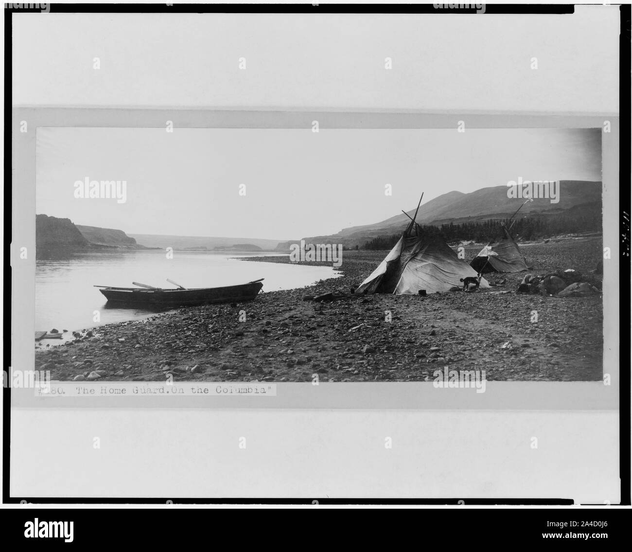 The home guard--On the Columbia Stock Photo - Alamy