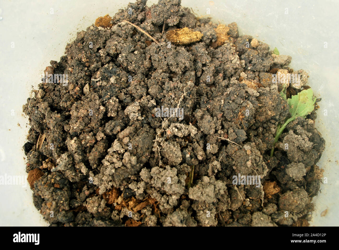 Soil skin hi-res stock photography and images - Alamy