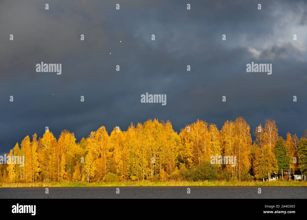 Steely sky hi-res stock photography and images - Alamy