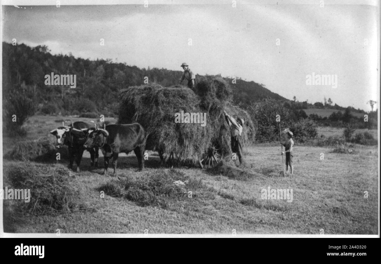 The last load Stock Photo - Alamy