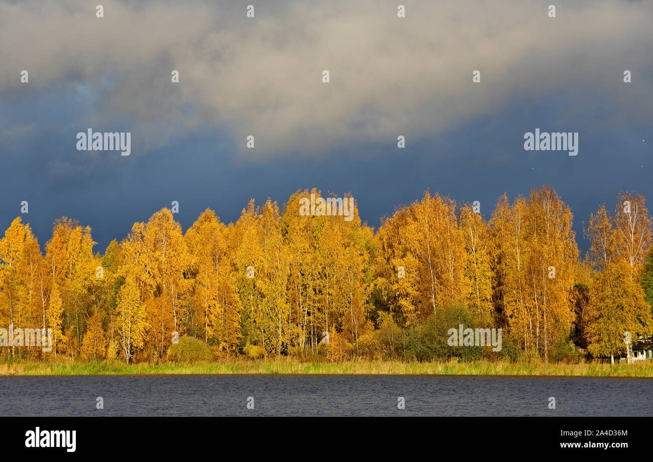 Steely sky hi-res stock photography and images - Alamy