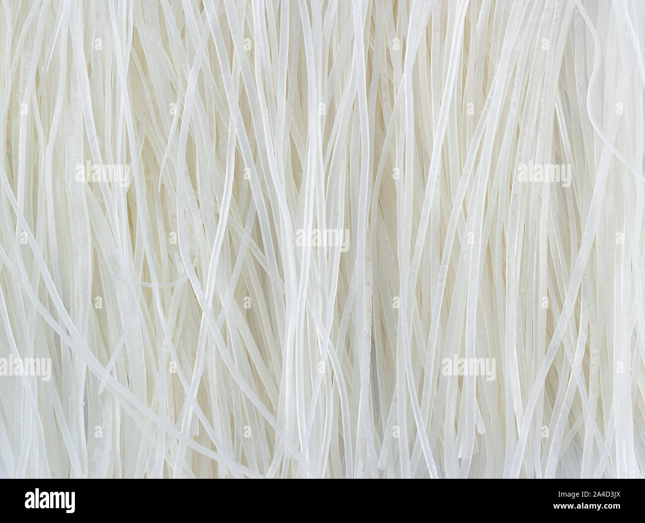 Food background concept, Thin rice noodles before being boiled and ...