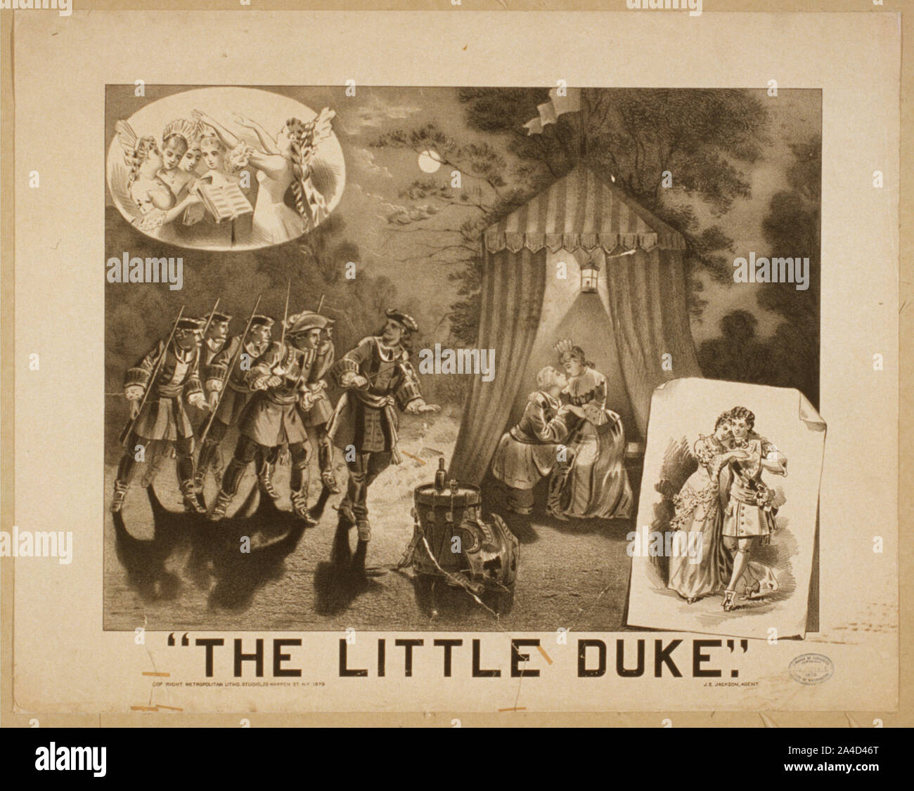 The little duke Stock Photo - Alamy