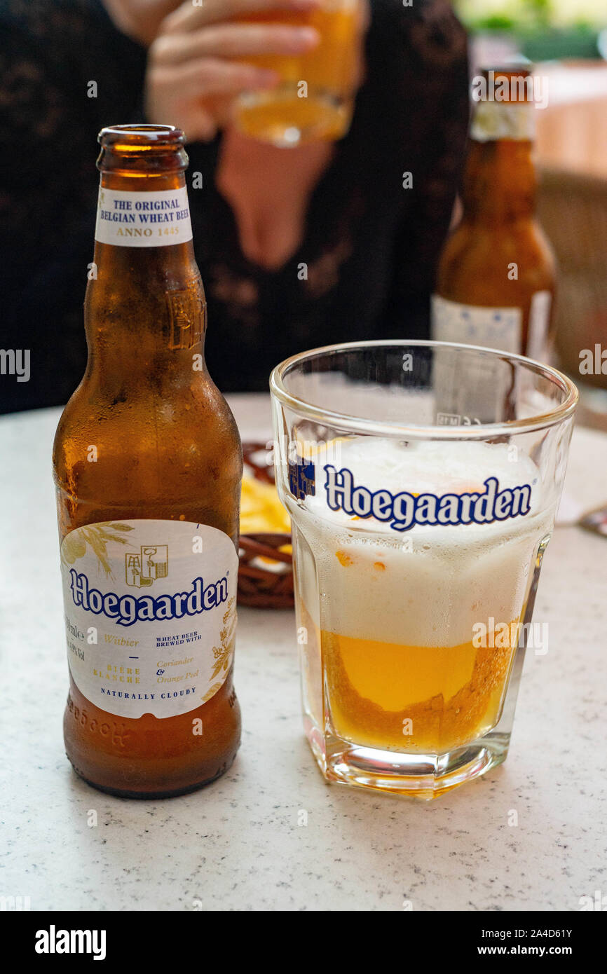 Drinking Belgian beer in the pub Stock Photo - Alamy