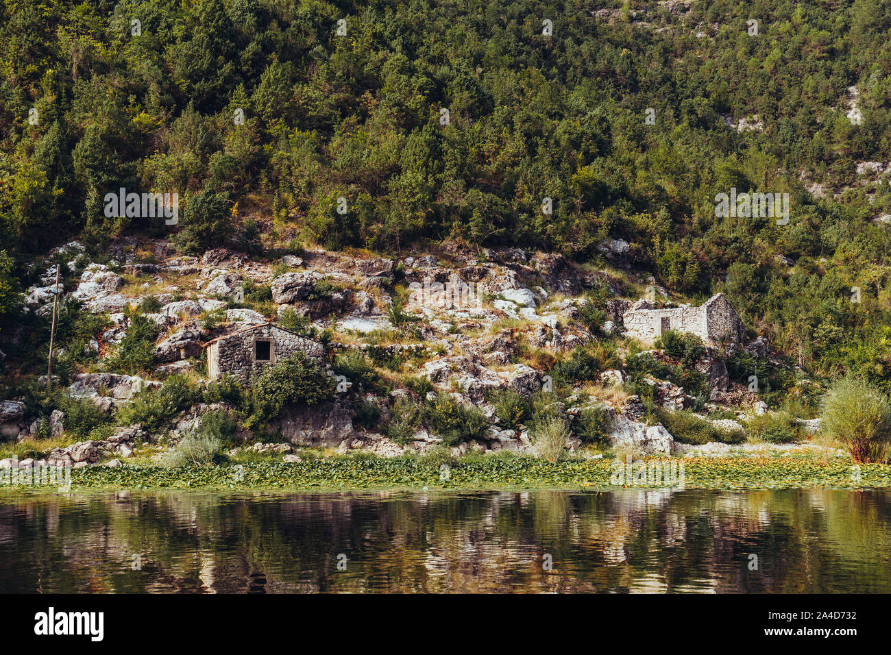 Nature views of Lake Skadar National Park in Montenegro. Water and ...