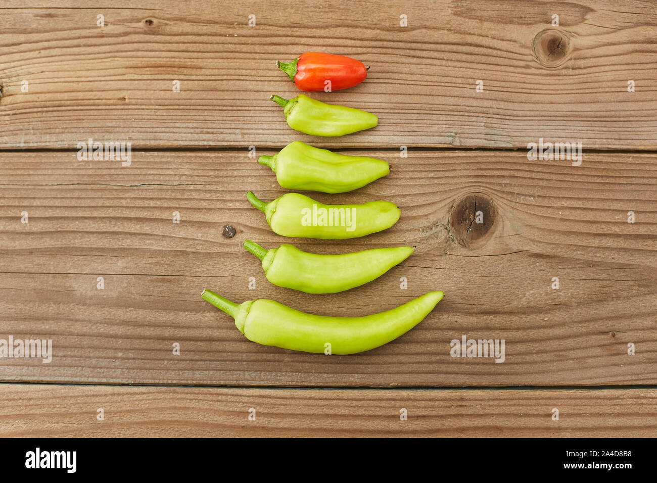 Christmas tree chili hi-res stock photography and images - Alamy