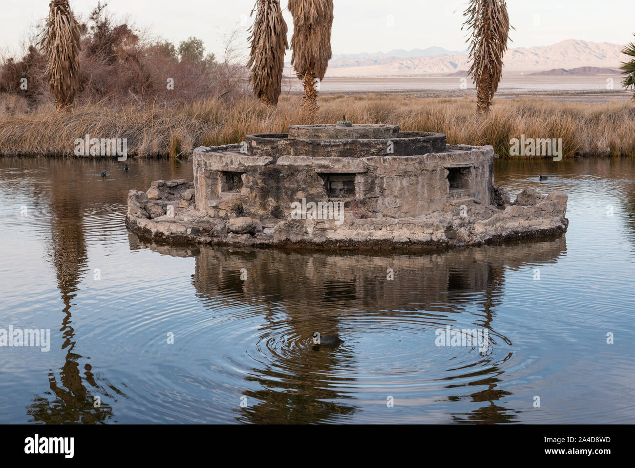 Curtis Howe Springer