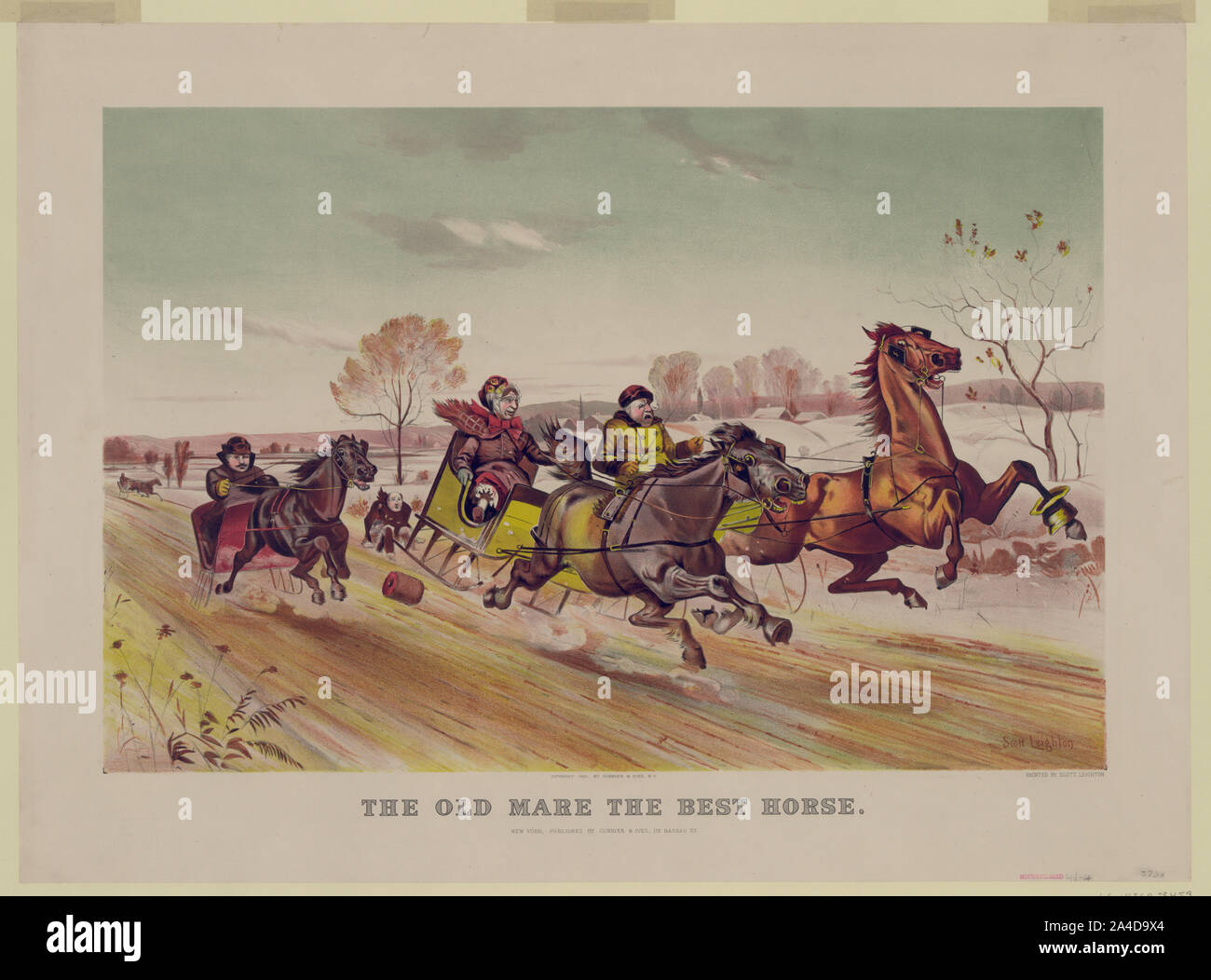 The old mare--The best horse Stock Photo - Alamy