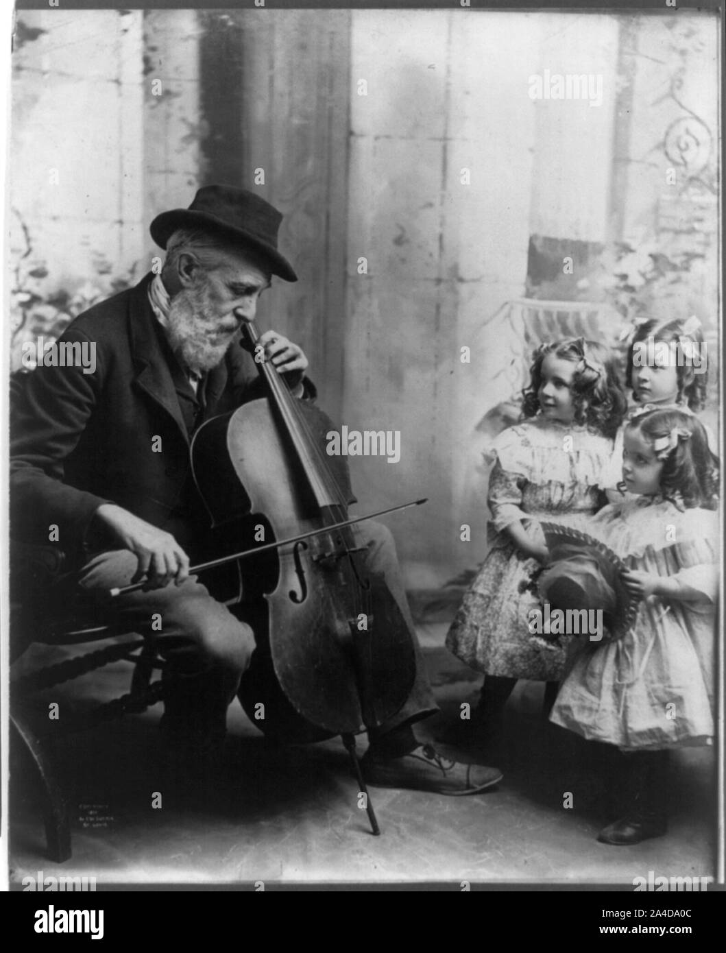 The old musician Stock Photo - Alamy