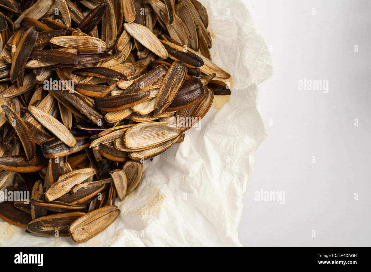 The Sunflower seed shells. Background empty Sunflower seed shells Stock ...