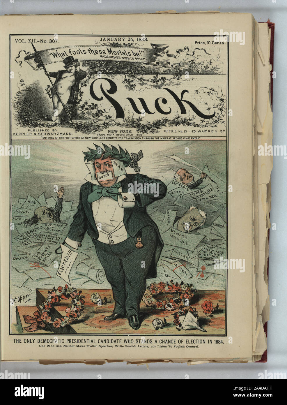1884 election hi-res stock photography and images - Alamy
