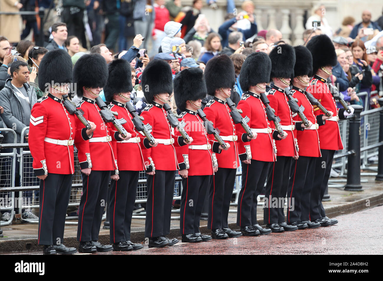 Grenadier Guards Lining Processional Route On Mall Hi Res Stock