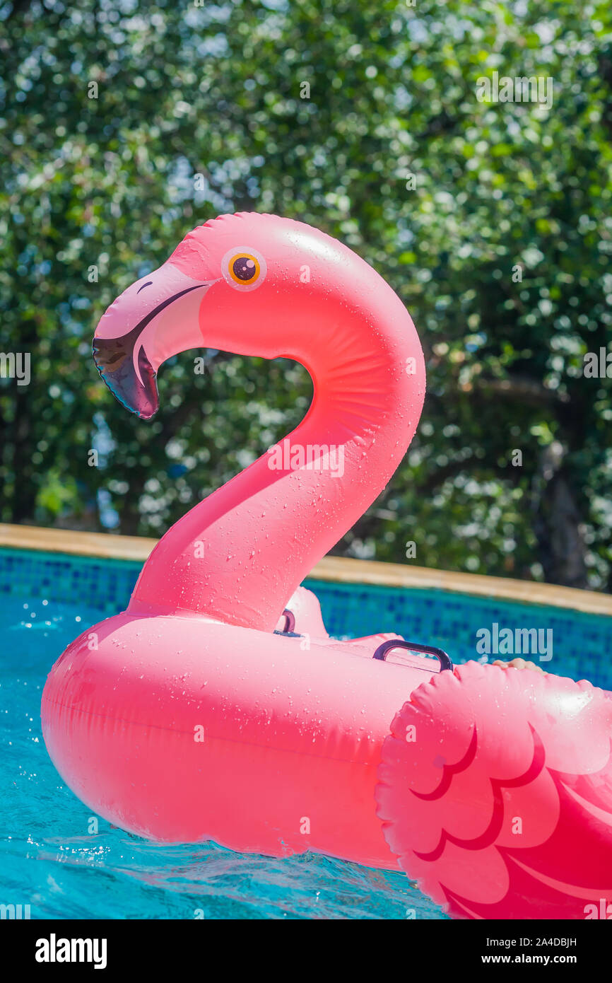 Inflatable flamingo in a swimming pool, Bulgaria Stock Photo - Alamy