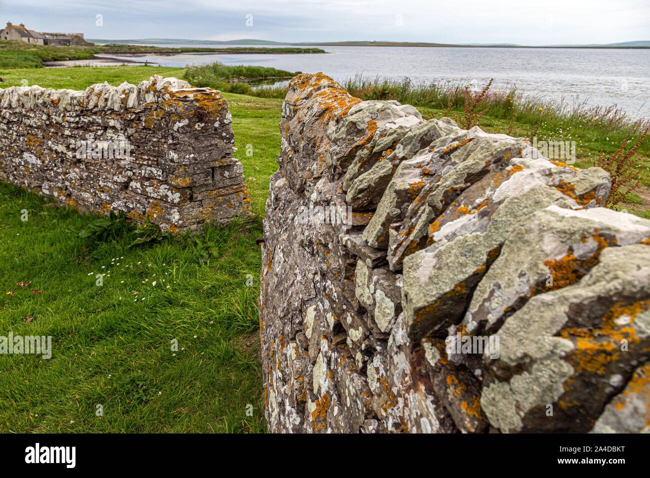 STONE WALL, TYPICAL OF THE SCOTTISH COUNTRYSIDE, STROMNESS, ORKNEY ...