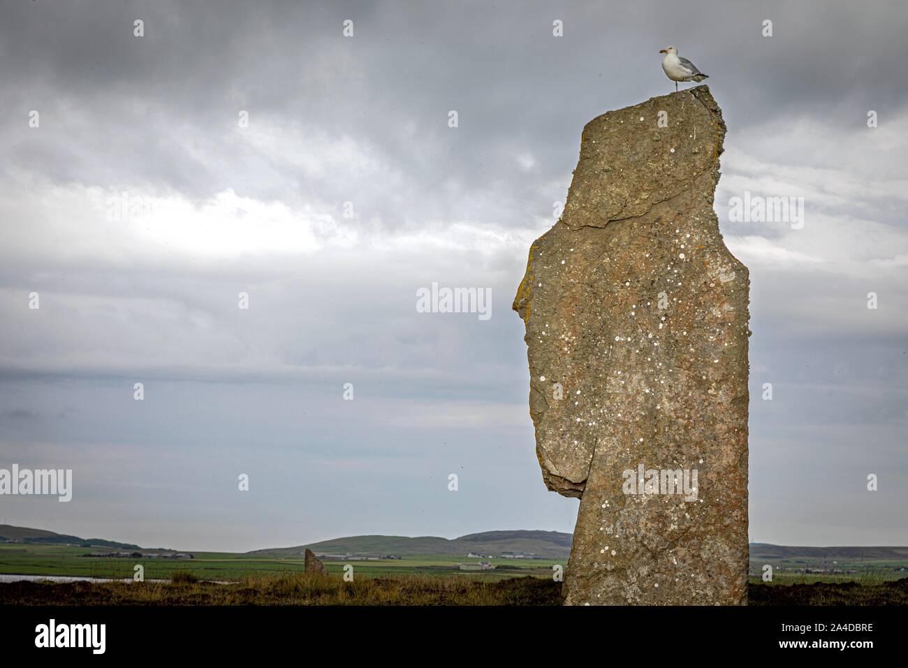 Human face profile hi-res stock photography and images - Alamy