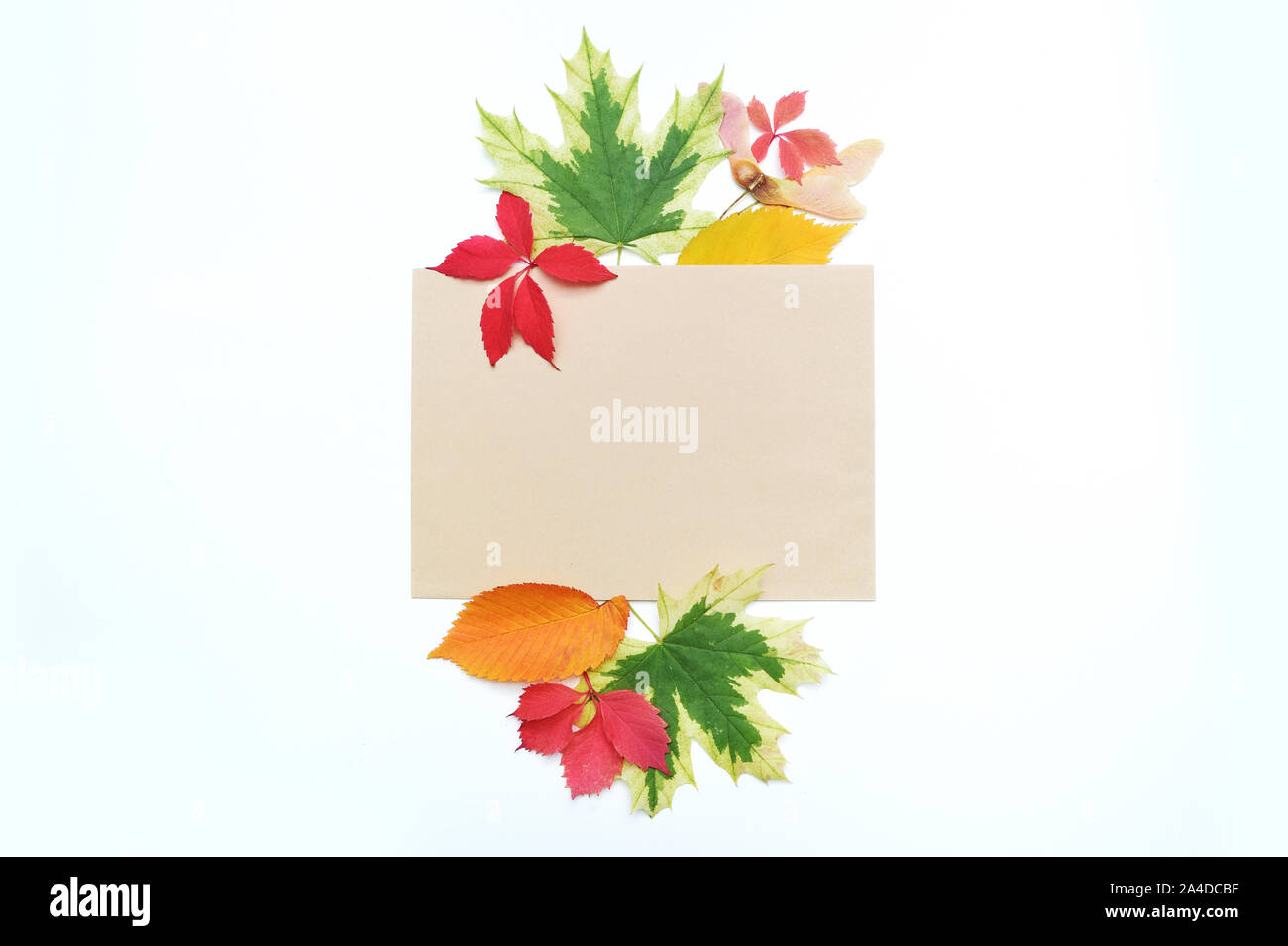 Mockup Autumn leaves frame and kraft sheet of paper for place your text ...