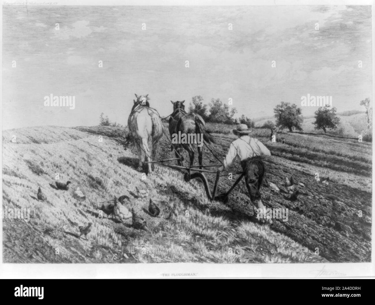Ploughman Black and White Stock Photos & Images - Alamy
