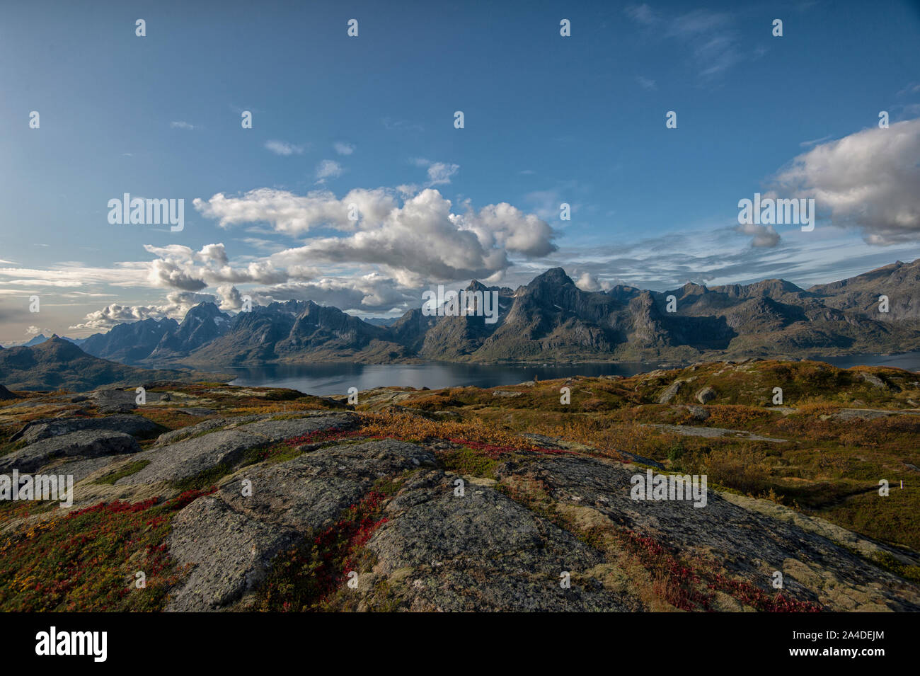 Trollfjord hi-res stock photography and images - Alamy