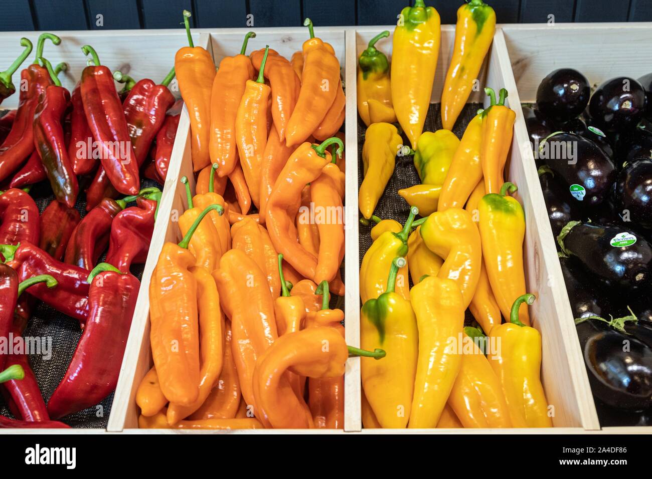 COLORFUL BELL PEPPERS AND EGGPLANTS, REGIONALLY-GROWN VEGETABLES, THE ...