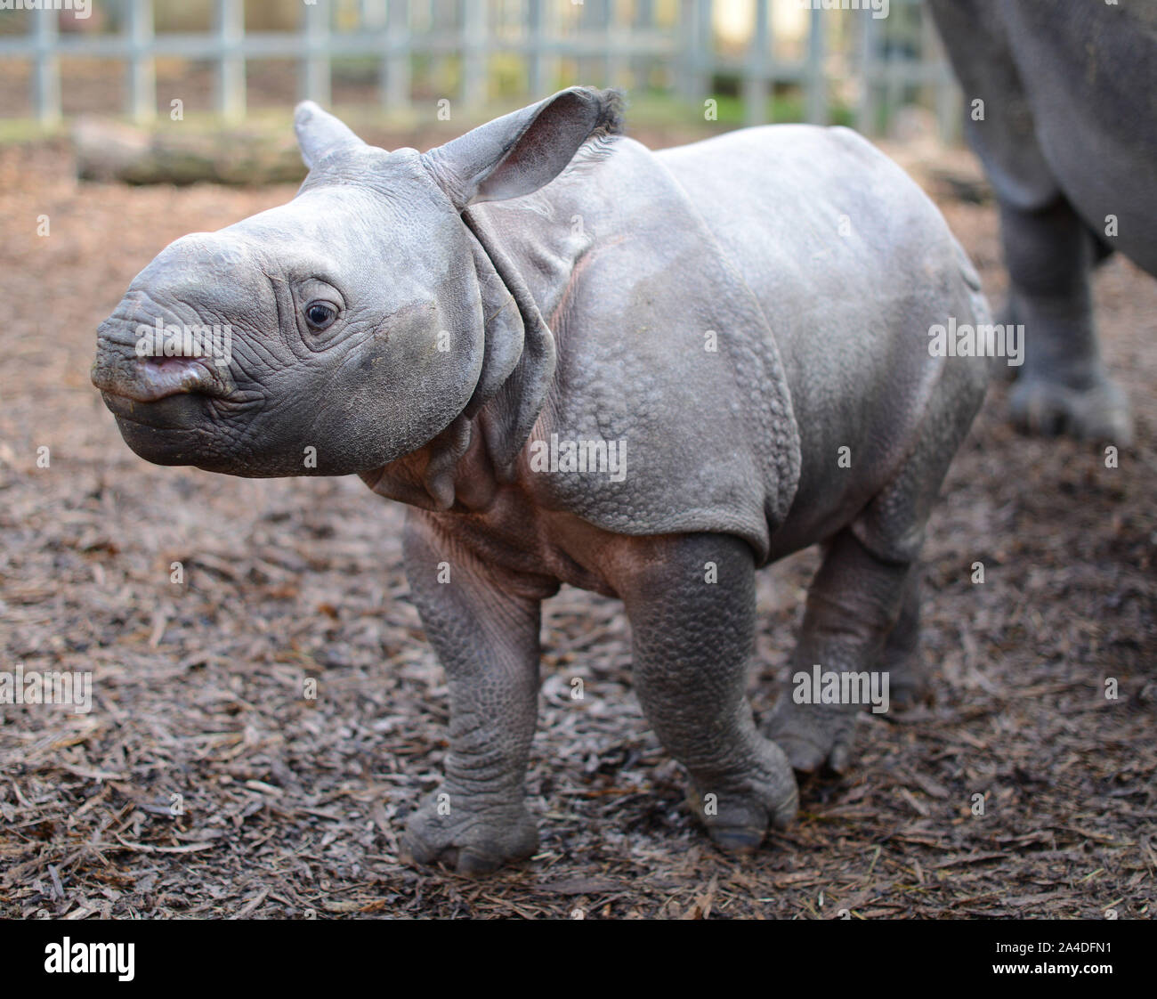 Photo Must Be Credited ©Karwai Tang/Alpha Press 076795 08/01/13 Jamil ...