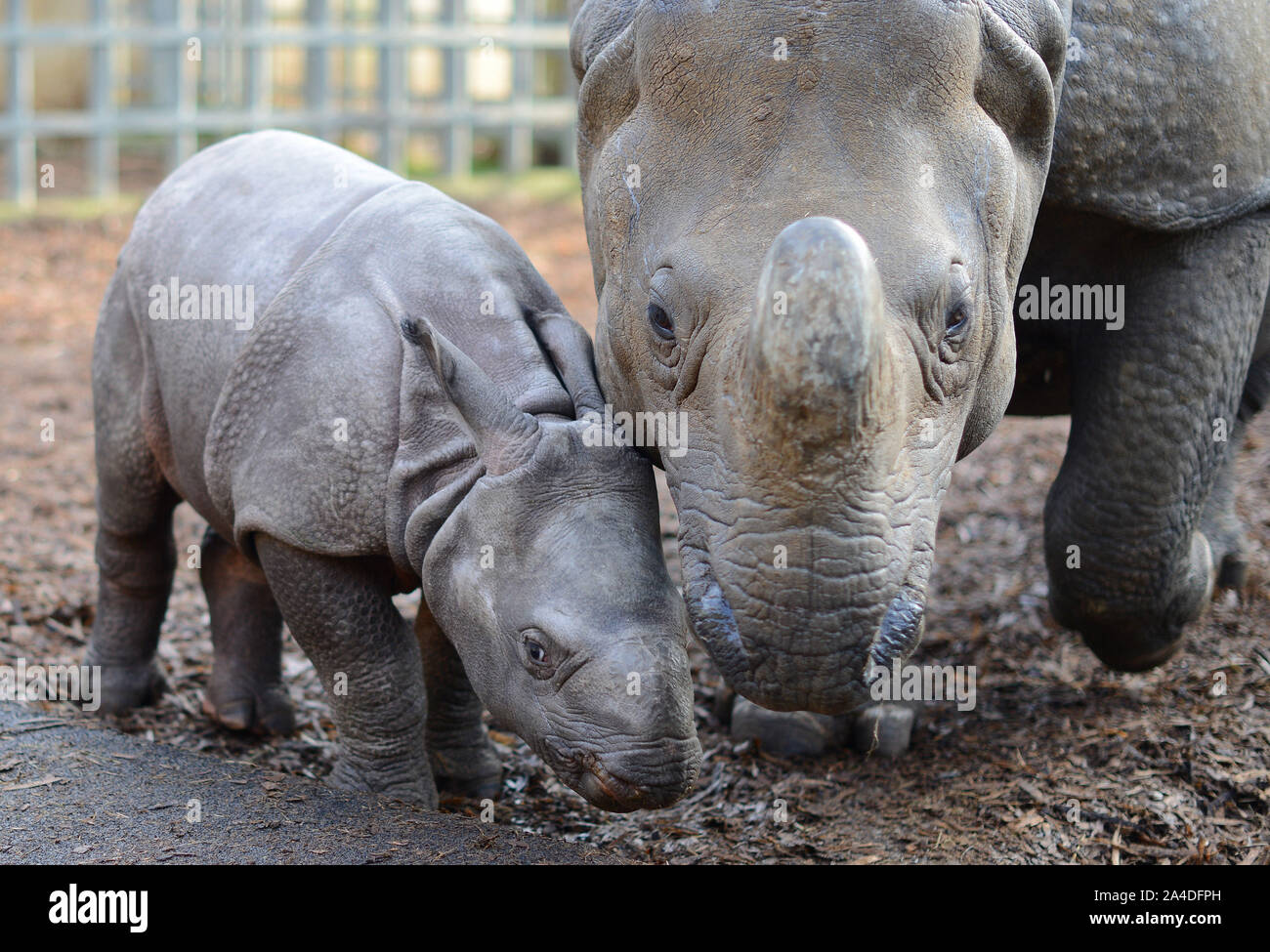 Photo Must Be Credited ©Karwai Tang/Alpha Press 076795 08/01/13 Jamil ...